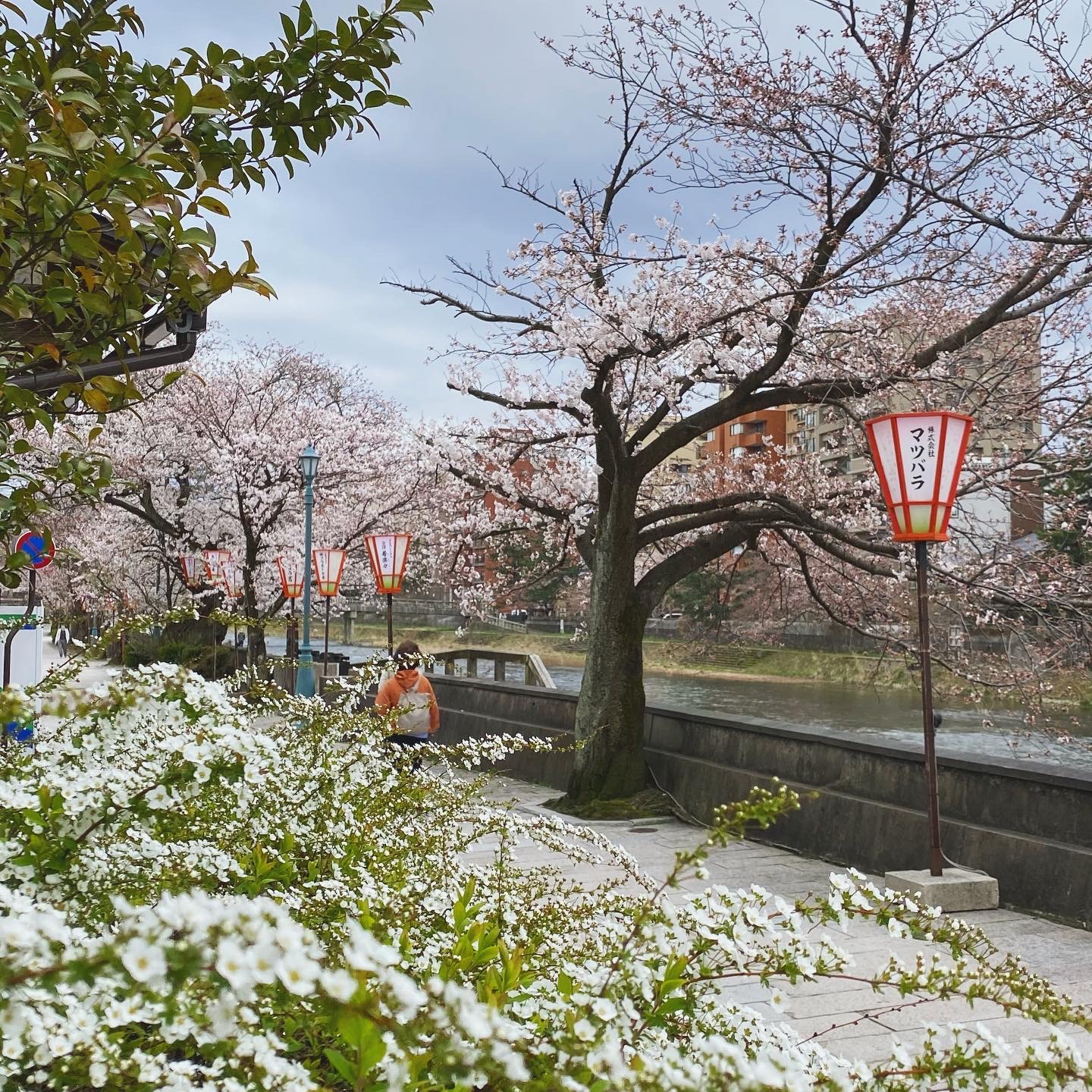 Meet a Geisha in Kanazawa | Ryokans and Hotels in Kanazawa