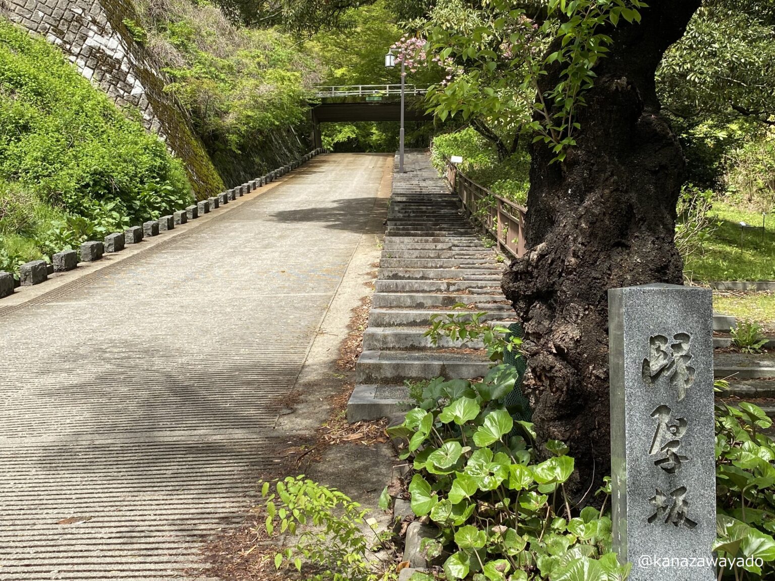 Enjoy a short hike on Mt. Utatsu, Kanazawa